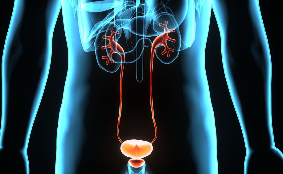 Cistite: cause, sintomi e rimedi più comuni | Pazienti.it